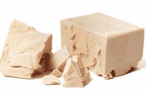 Ragi adalah – Pengertian, Jenis, Manfaat dan Cara Penyimpanan