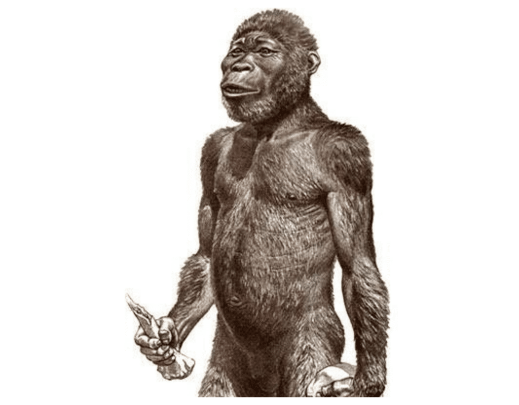 Manusia Purba Di Dunia