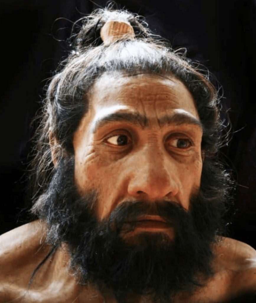 Manusia Purba Di Dunia